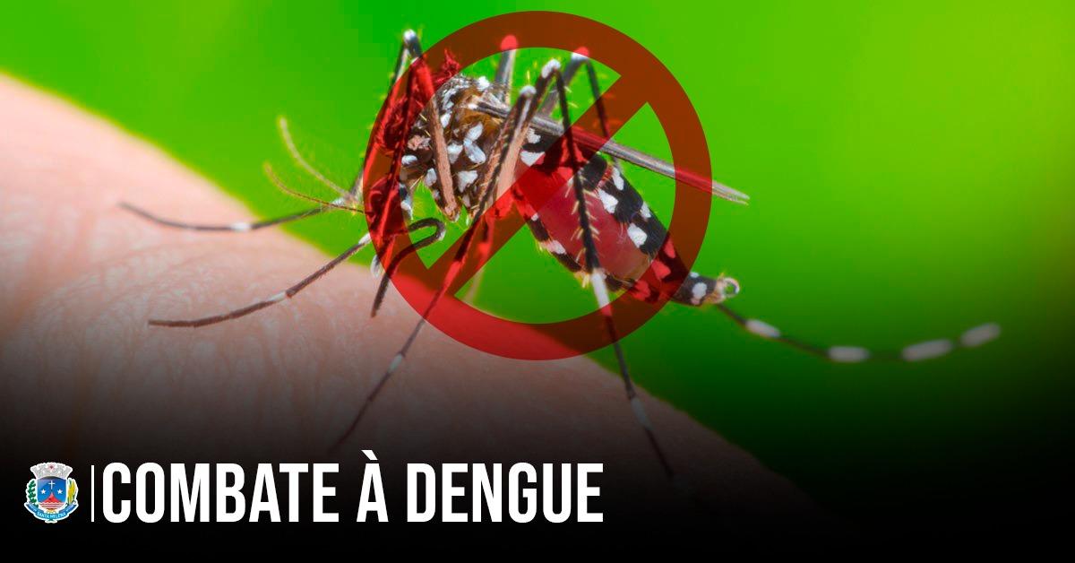 Dia Nacional de Combate ao Aedes aegypti acontece nesta sexta-feira (30 ...